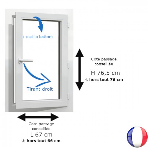 Fenêtre PVC 1 vantail H 76 x L 66 cm hors tout OB pour pose en rénovation